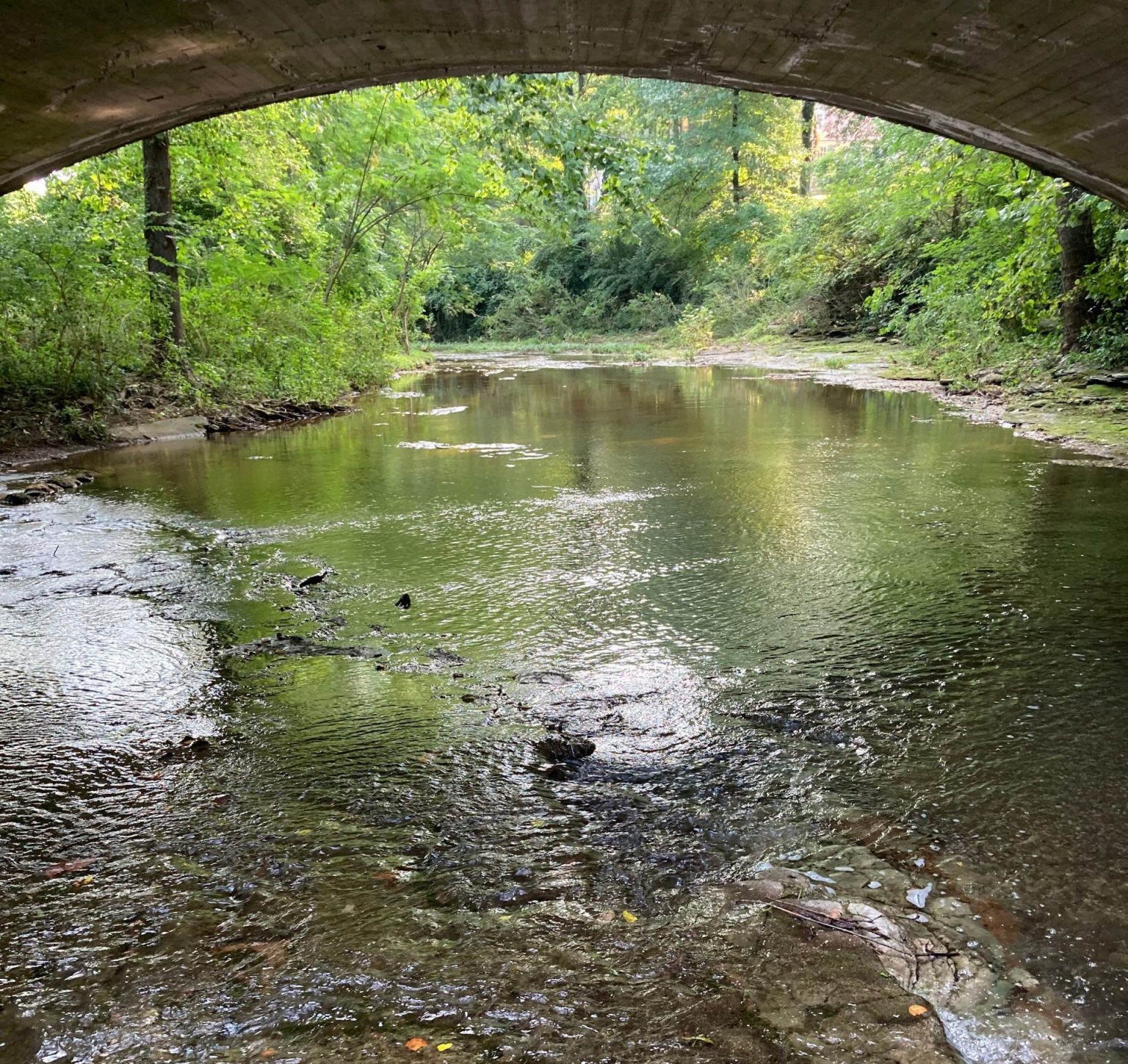 Recreation - Harpeth Conservancy