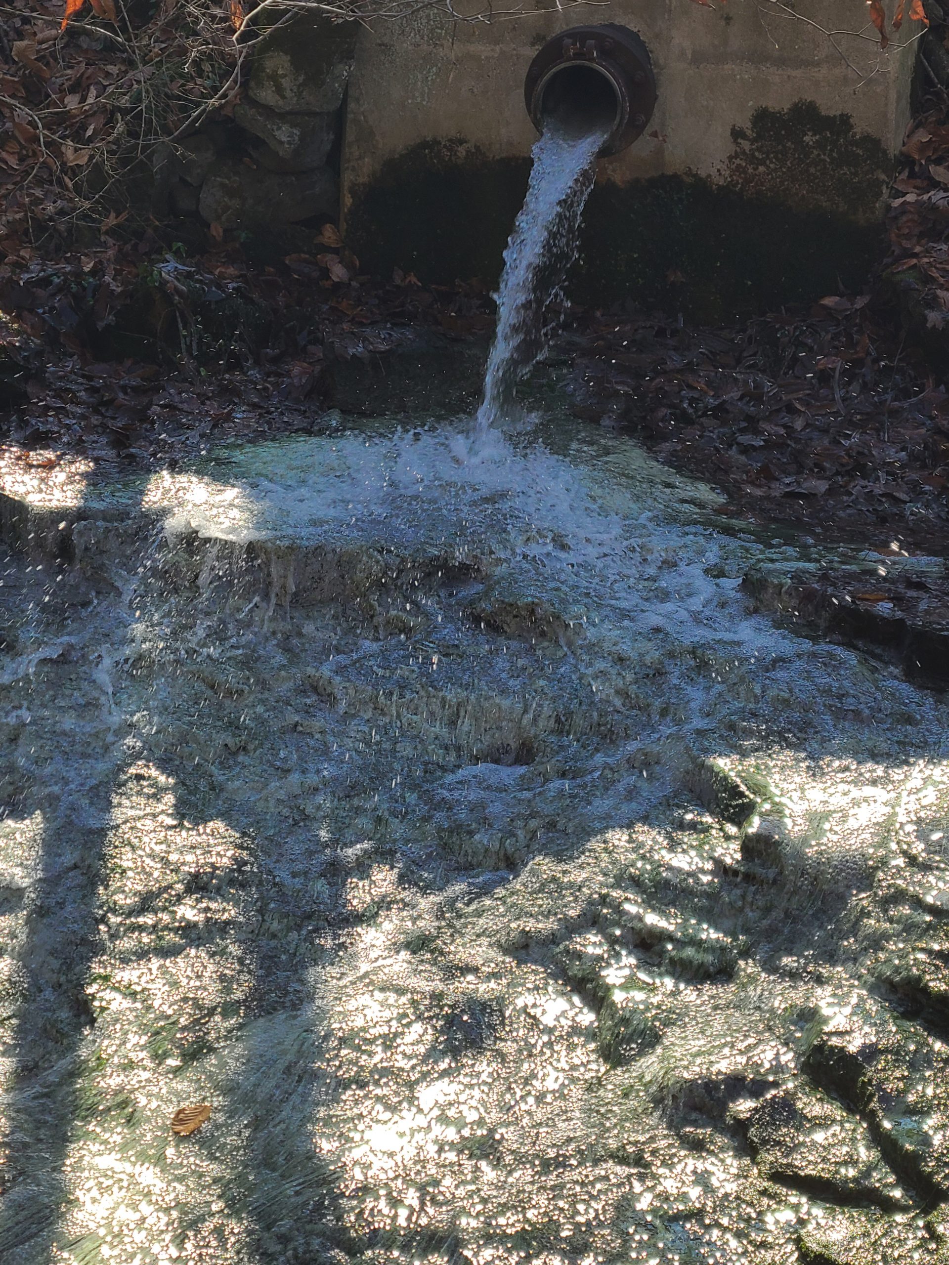 State officials are asked to better regulate sewer treatment plants ...