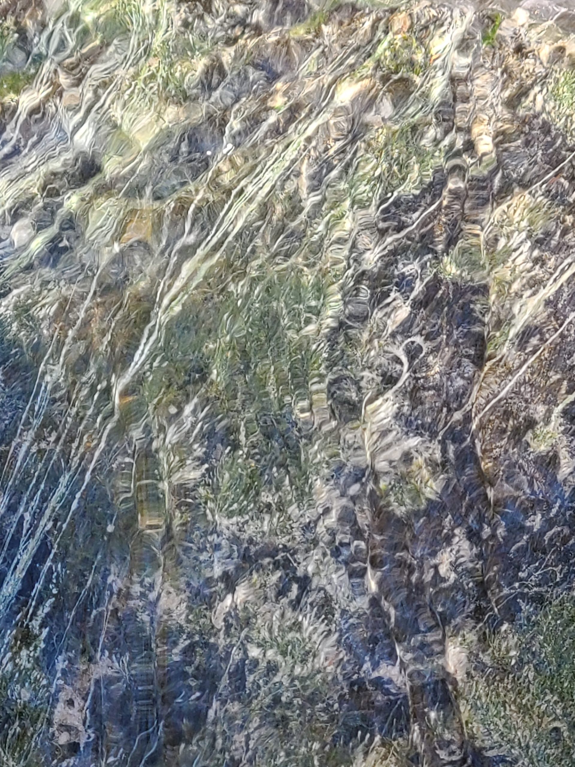 State officials are asked to better regulate sewer treatment plants ...