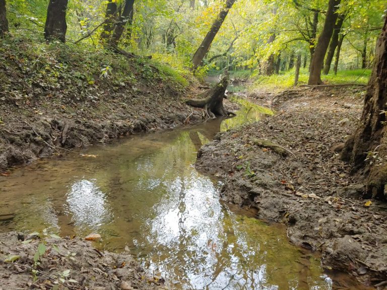 Why Riparian Habitats? - Harpeth Conservancy